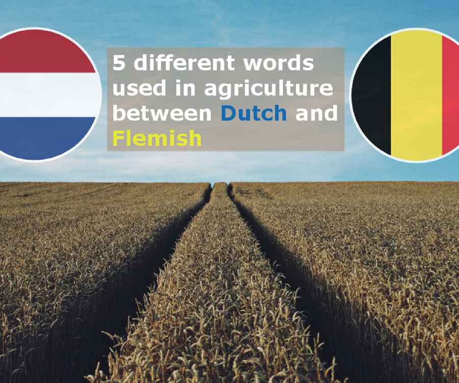 5 different words used in agriculture between Dutch and Flemish